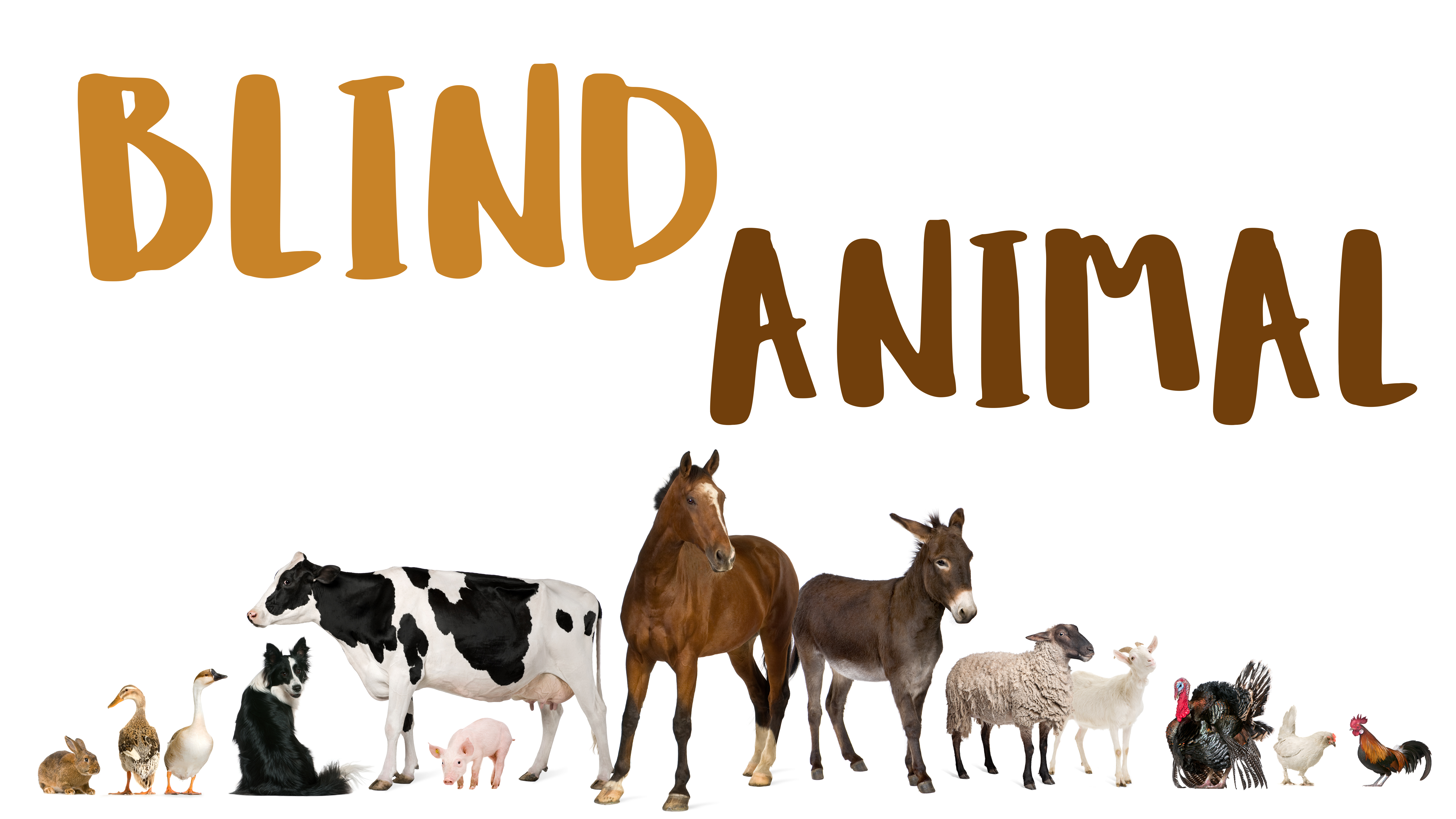 'Creation' Children's Ministry Lesson on Genesis 1 • MinistryArk